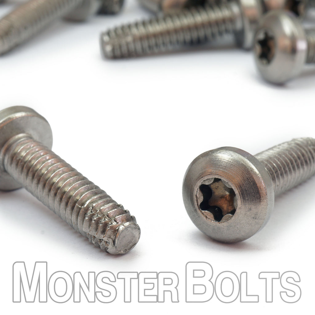 Bulk 1/4-20 Torx Pan Type F Thread-Cutting Screws | 18-8 Stainless